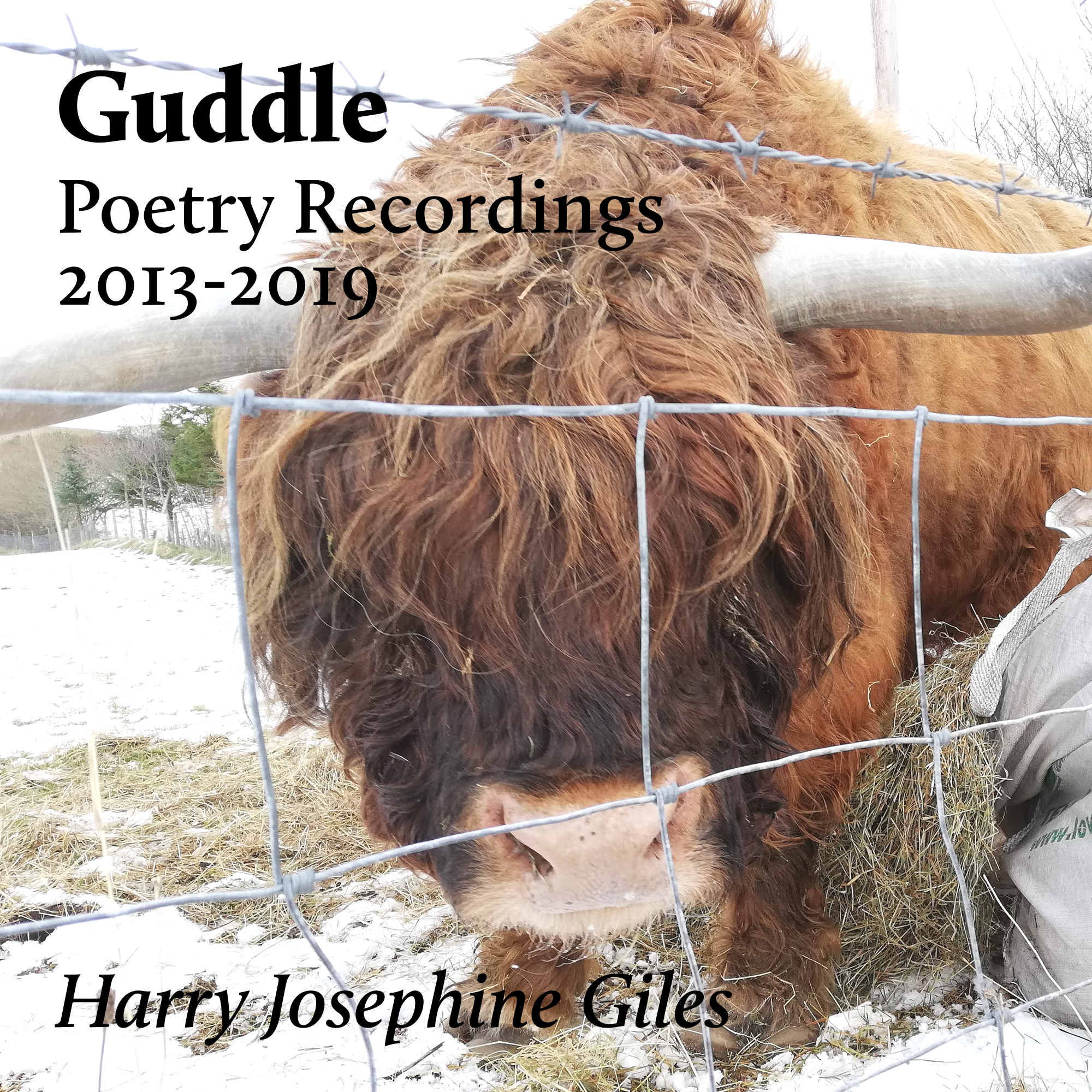 Guddle – Harry Josephine Giles